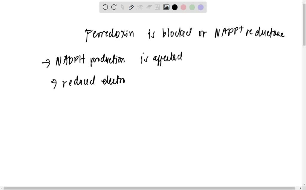 SOLVED: If an herbicide were to inhibit the ETC between P680 and P700 ...