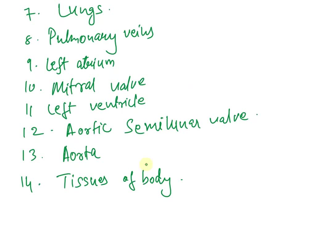 SOLVED: 17. NUMBER the following structures in the order in which blood passes through them ...