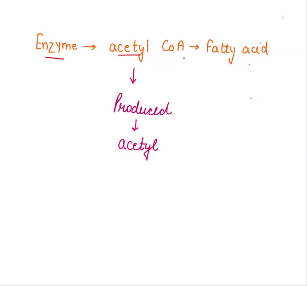 Citrate Pyruvate Shuttle