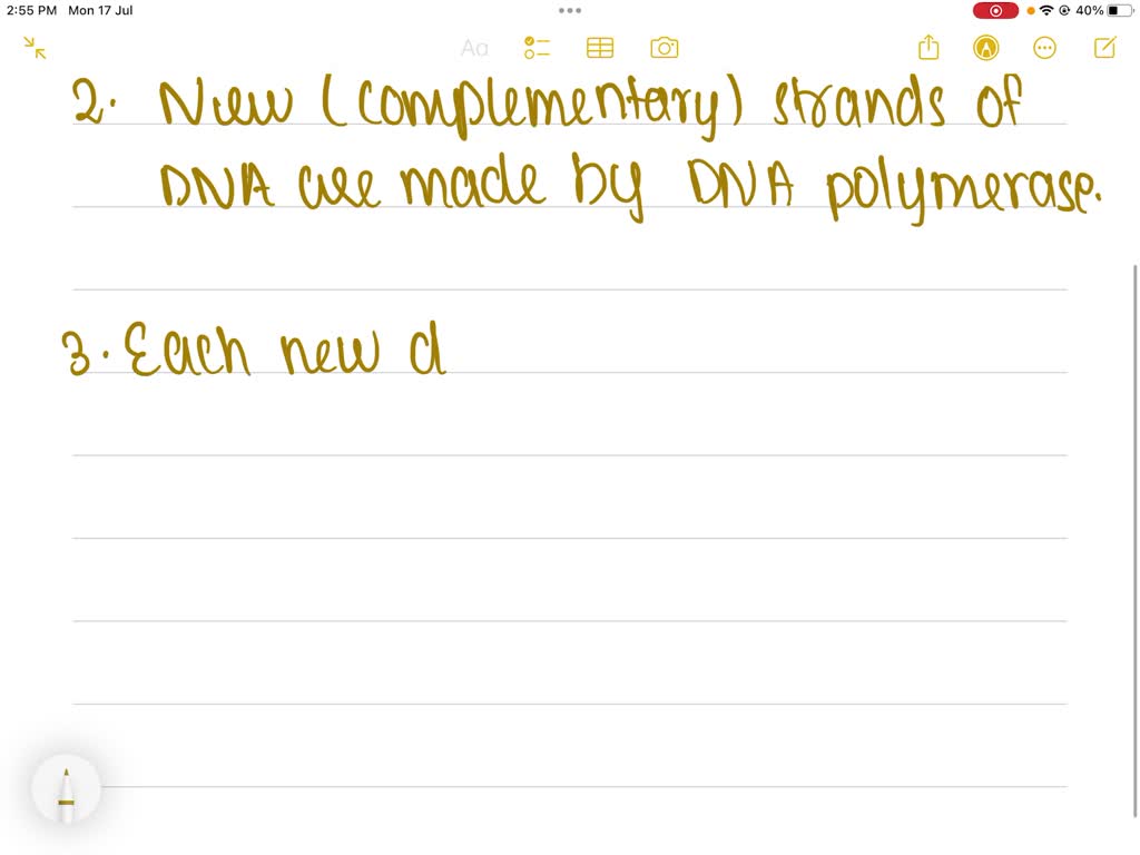 SOLVED: Put the following steps of DNA replication in order. Question 6 ...