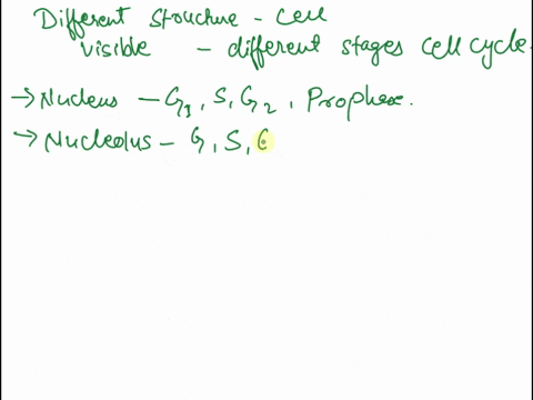 Worksheet - Mixed Up Mitosis: Scrambled Order