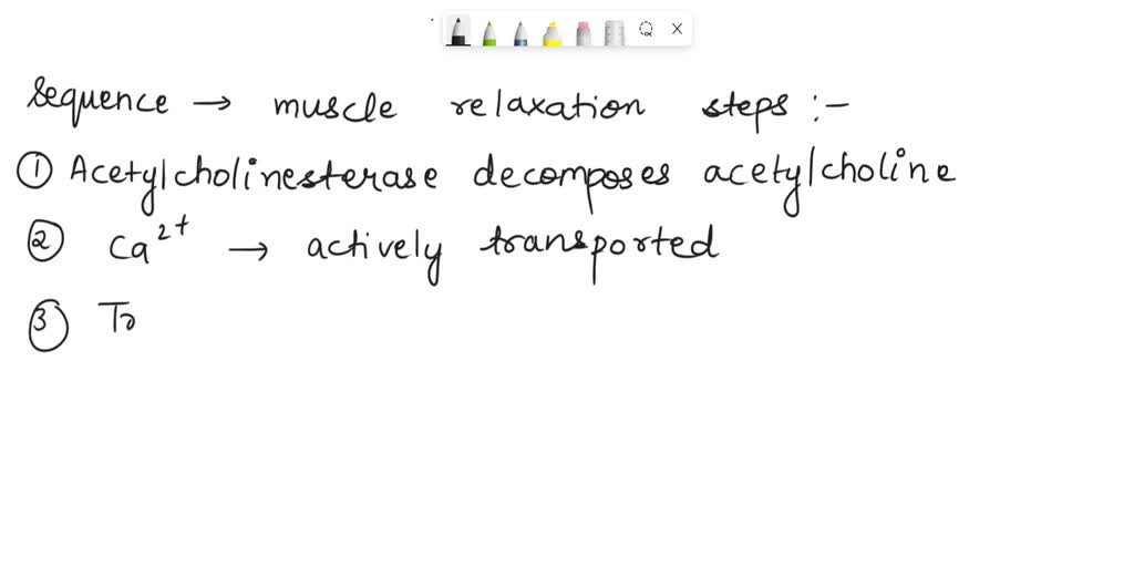 SOLVED: Place the following steps of muscle relaxation in the proper ...