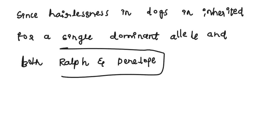 SOLVED: Hairlessness in dogs is inherited from a single dominant allele ...