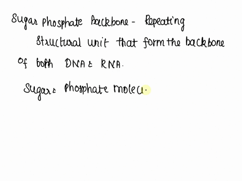 activity draw a model of a dna molecule making sure to showlabel the ...