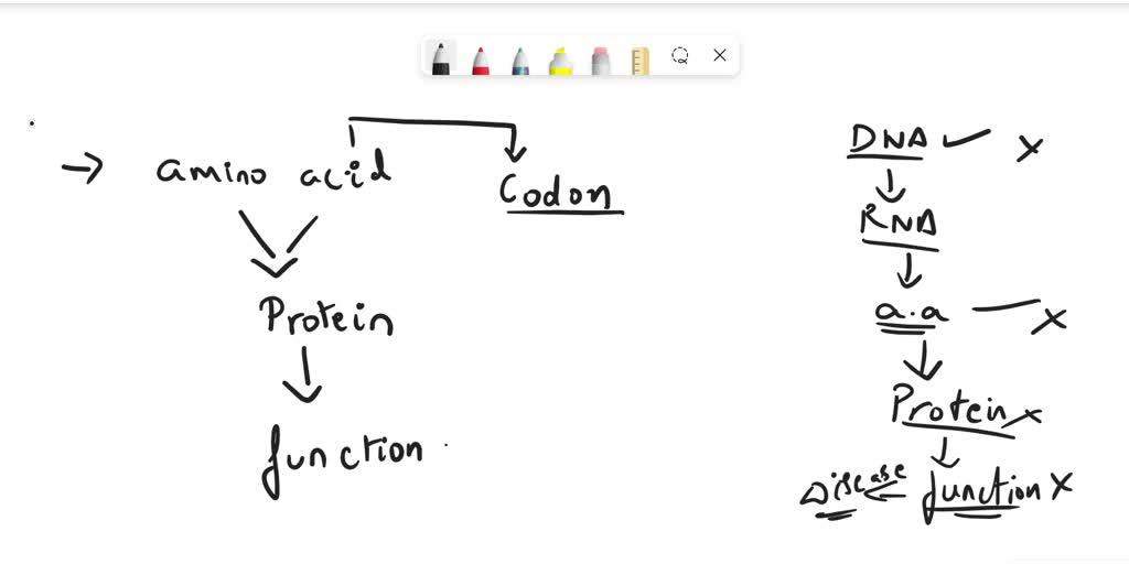 SOLVED: A mutation that changes the third position in a CUU codon to a ...