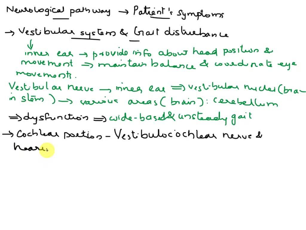 SOLVED: Outpatient-Emergency Department (Gastroenterology) Patient Name ...