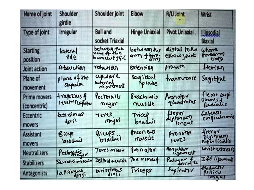 SOLVED: Texts: Plane of Motion Frontal [Sagittal Transverse Multiplanar ...