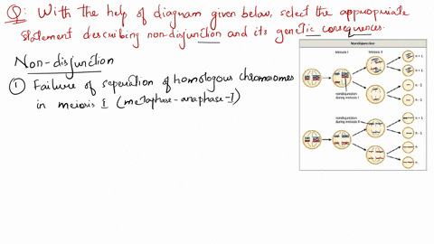 Nondisjunction Animation