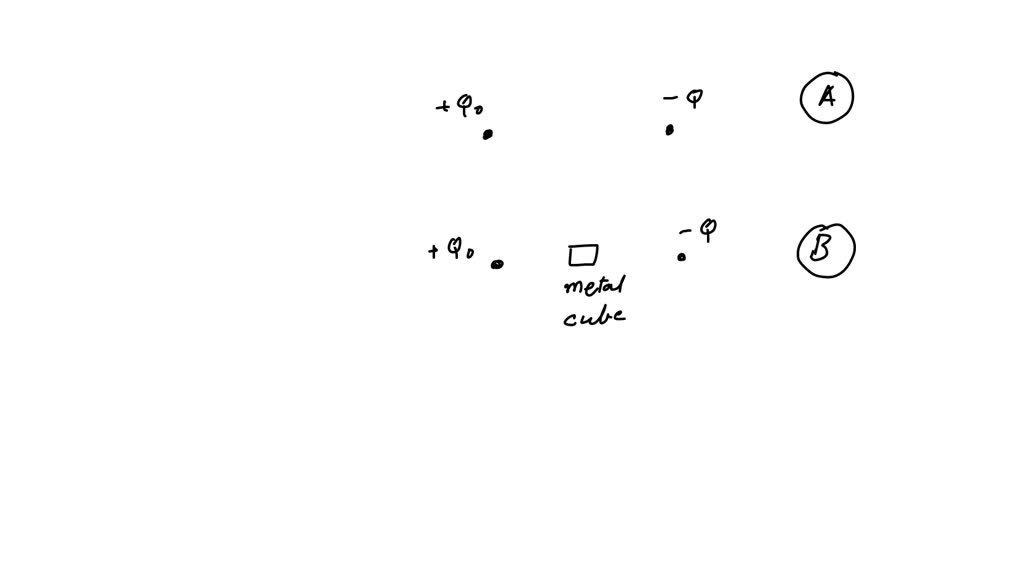 State Whether The Magnitude Of The Case Net Electric Force On The