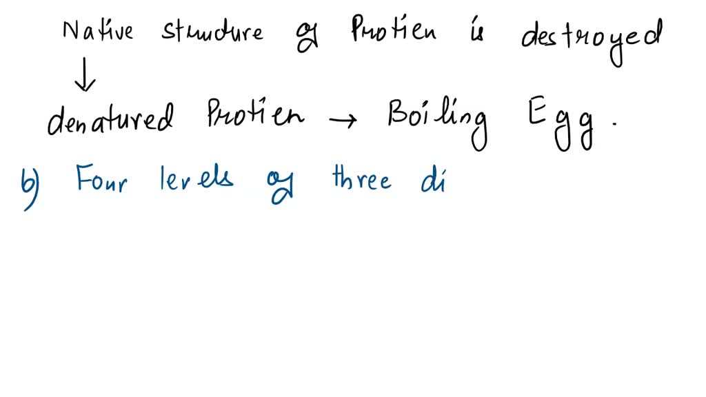 SOLVED: A. What is a native protein, and what it meant by, and how it ...