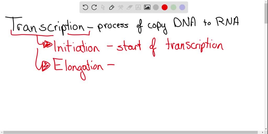 SOLVED: Which process is shown below? elongation translation replication transcription Which ...