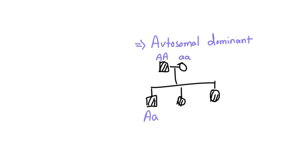 SOLVED: 12) Based on the following Pedigree of an autosomal dominant ...