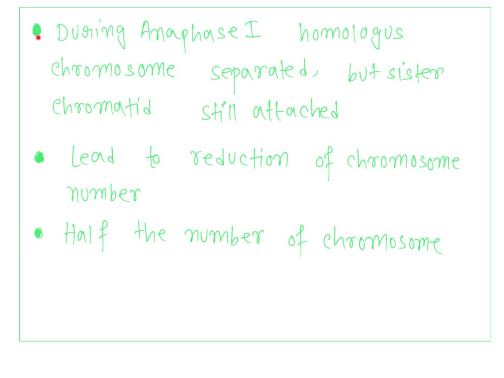 SOLVED: During meiosis, chromosome number reduction takes place in ...