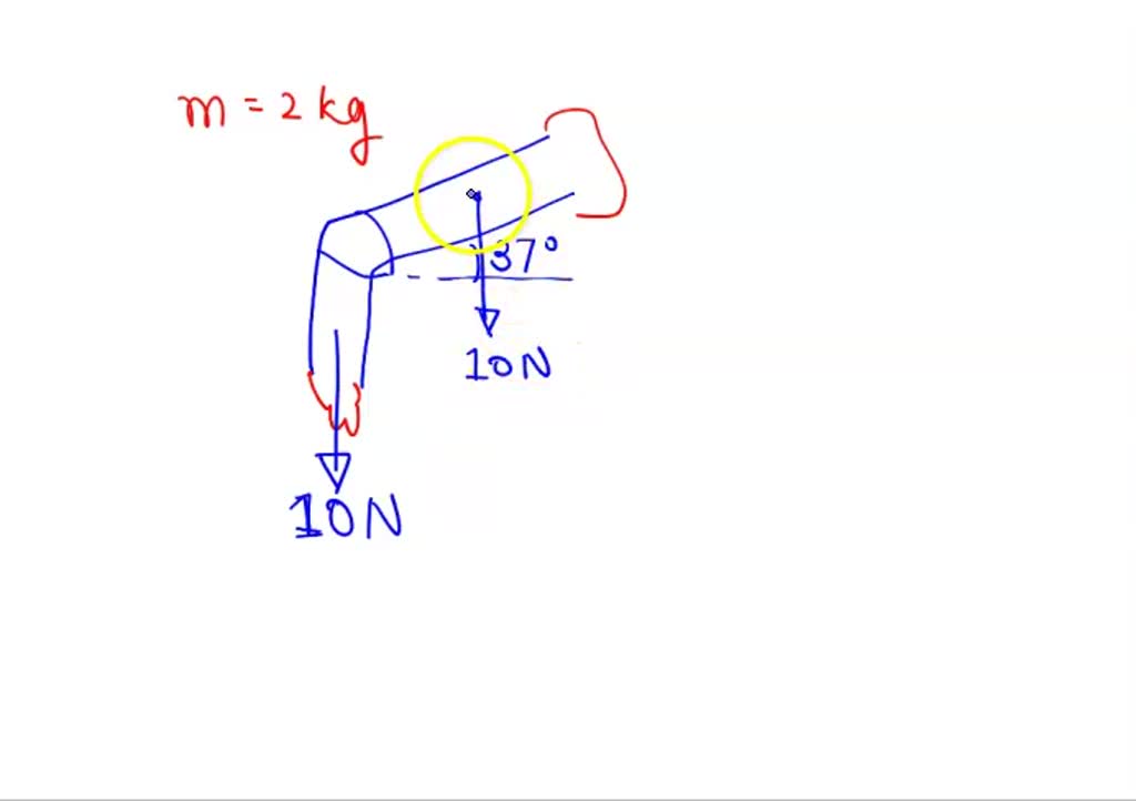 SOLVED: '6. If you hold YOur arm outstretched with palm upward, as in ...