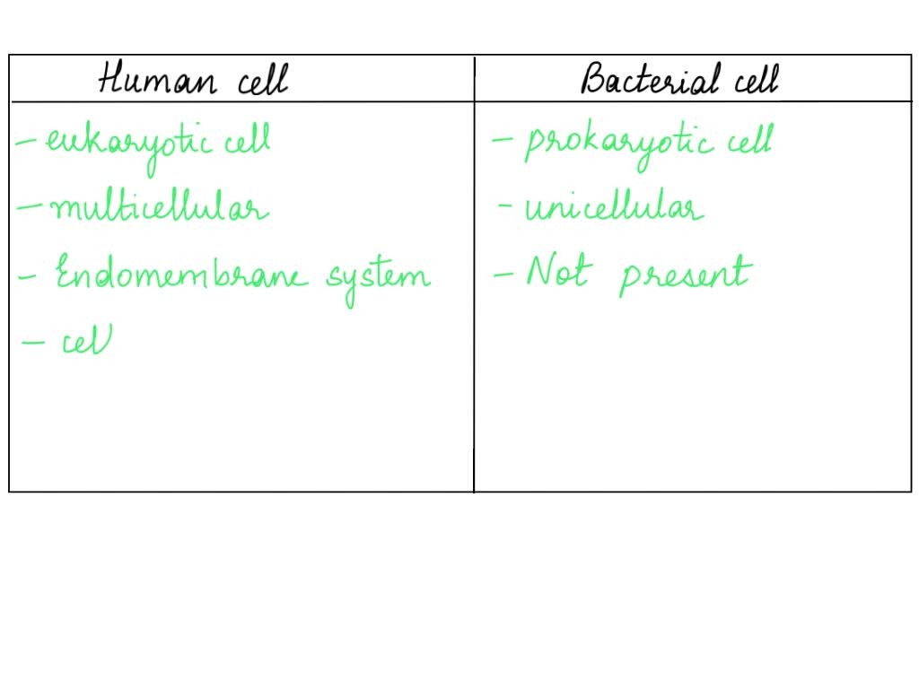 SOLVED: Describe 5 differences between Human cell and Bacterial cell.