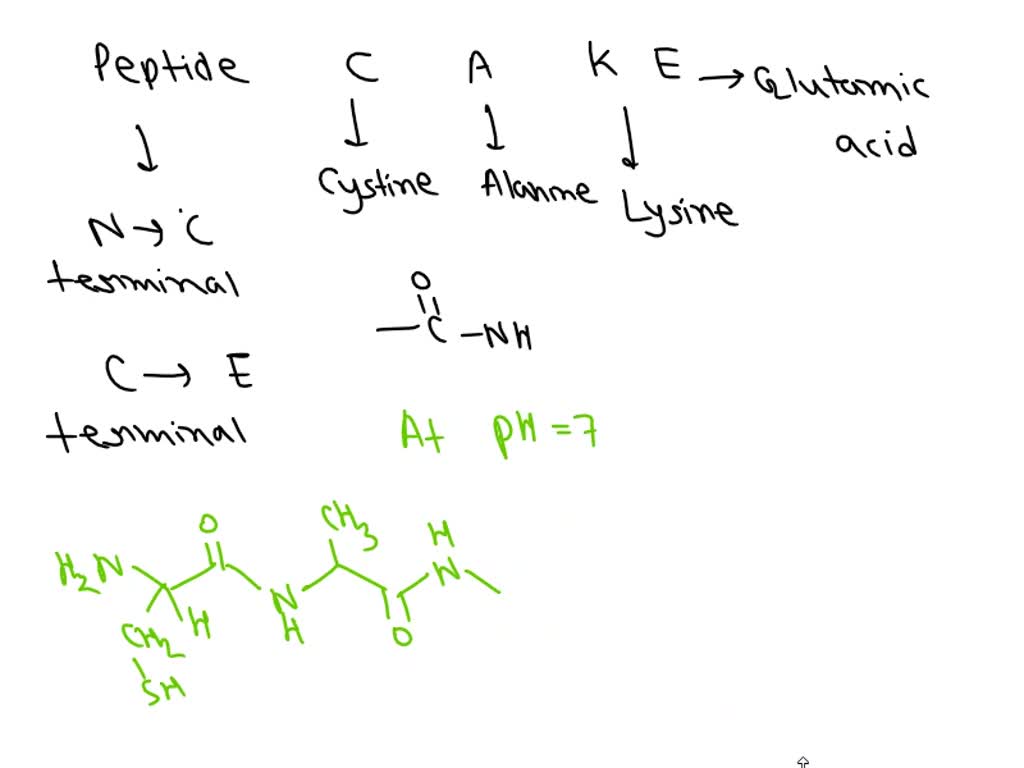 SOLVED: 1) Draw the peptide CAKE, Include chirality and protonation ...