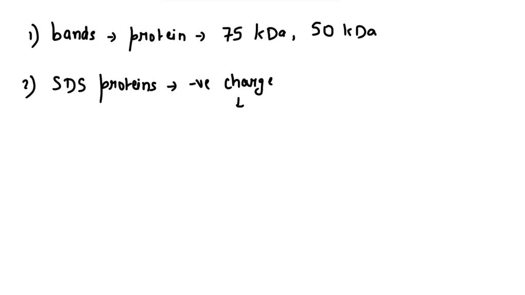 SOLVED: 6.Here is a completed serum protein electrophoresis gel. How ...