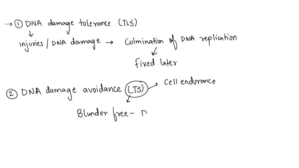 SOLVED:Please explain the two mechanisms with the proper references ...
