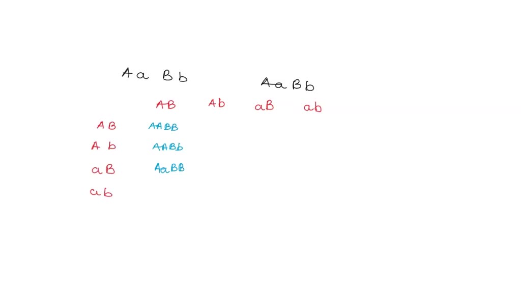 SOLVED: Draw Punnett Square for the following crosses: 13) AaBb (x ...