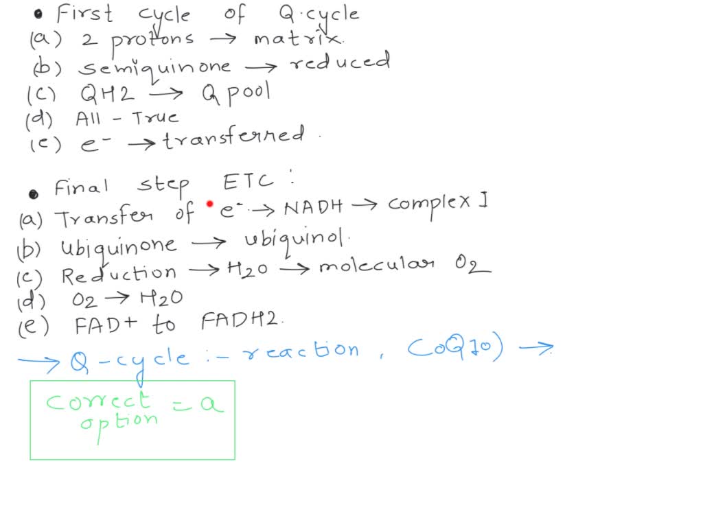 SOLVED: The first cycle of the Q cycle protons are taken up from the matrix to reduce the ...