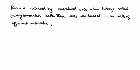 The procedural term that means x ray film of the urinary...