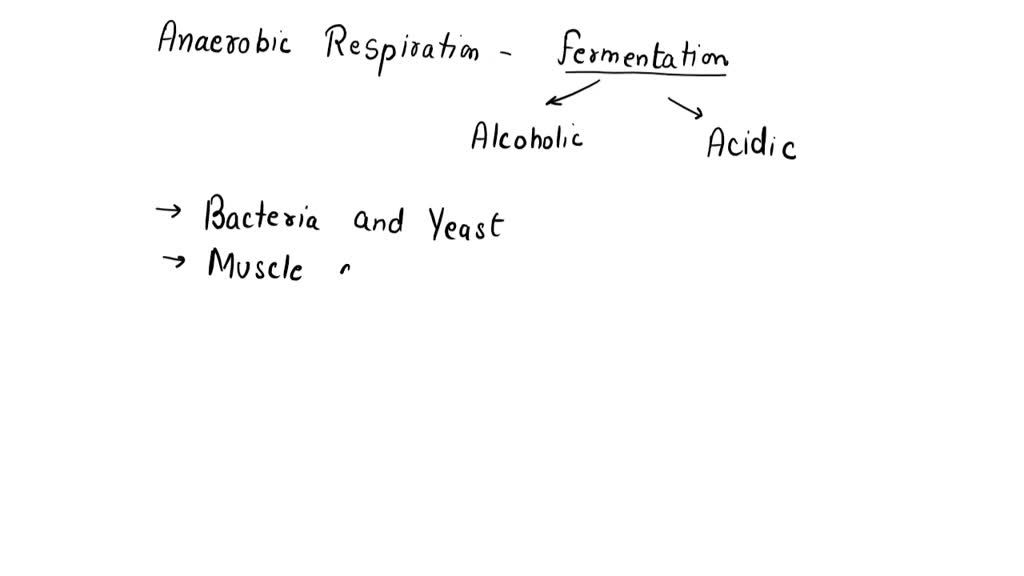 SOLVED: Fermentation Anaerobic Respiration is also known as 2 types of ...