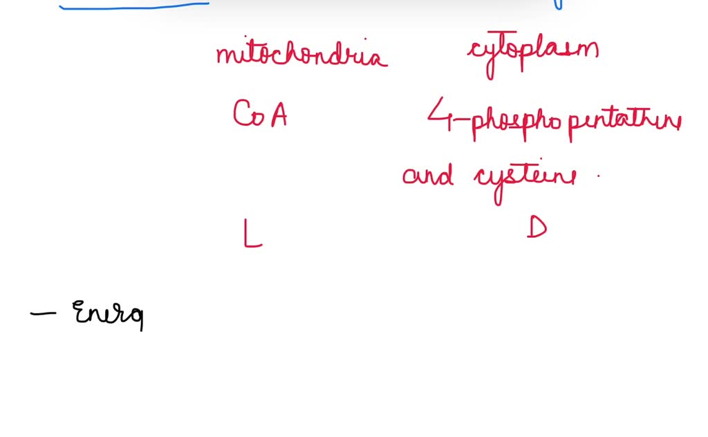 SOLVED: Chapter 22 Fatty Acid Metabolism Please provide a detailed ...