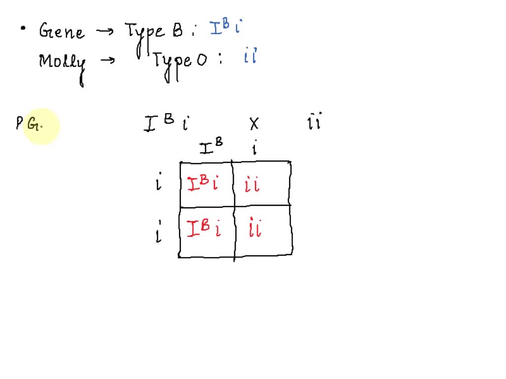 SOLVED: Gene Poole is married to Molly Kuehl and they have decided to ...