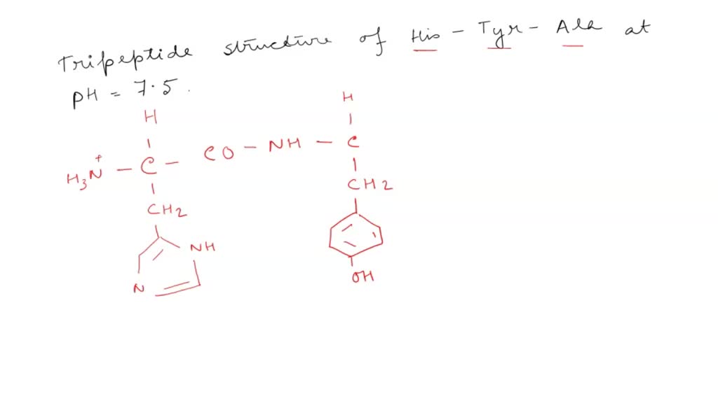 SOLVED: a) Draw tripeptide structure at pH7. What is the overall charge ...