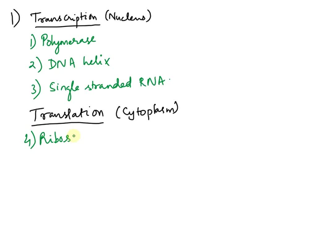 SOLVED: Drag each label to the correct location on the image. Identify the components involved ...