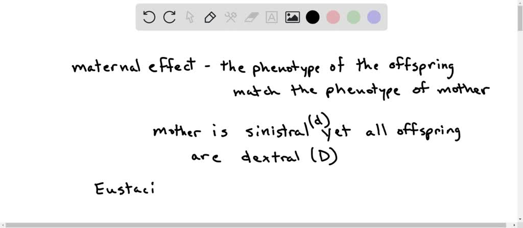 SOLVED: A maternal effect can cause the offspring phenotype ratio to ...