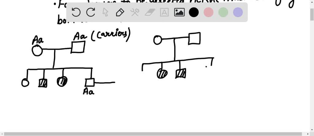 SOLVED: This pedigree shows the inheritance pattern of a disease caused ...