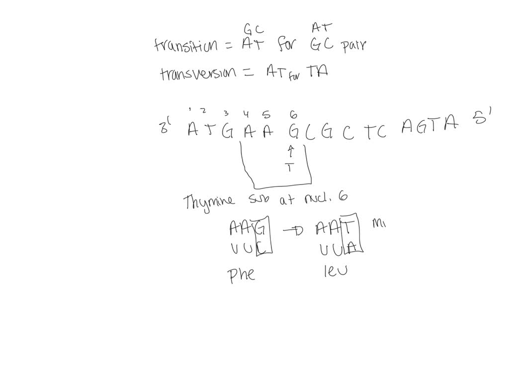 Solved The Given Dna Non Template Sequence Coding Sequence Is 9108