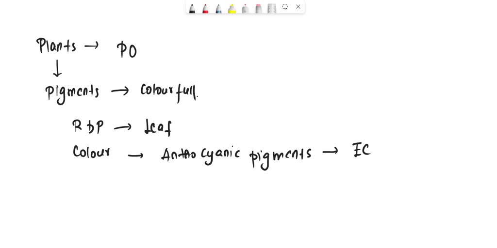SOLVED: Which of the following structures is the most prominent inside ...