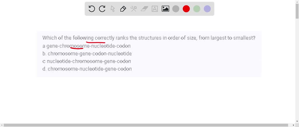 SOLVED: Which of the following correctly ranks the structures in order of size, from largest to ...