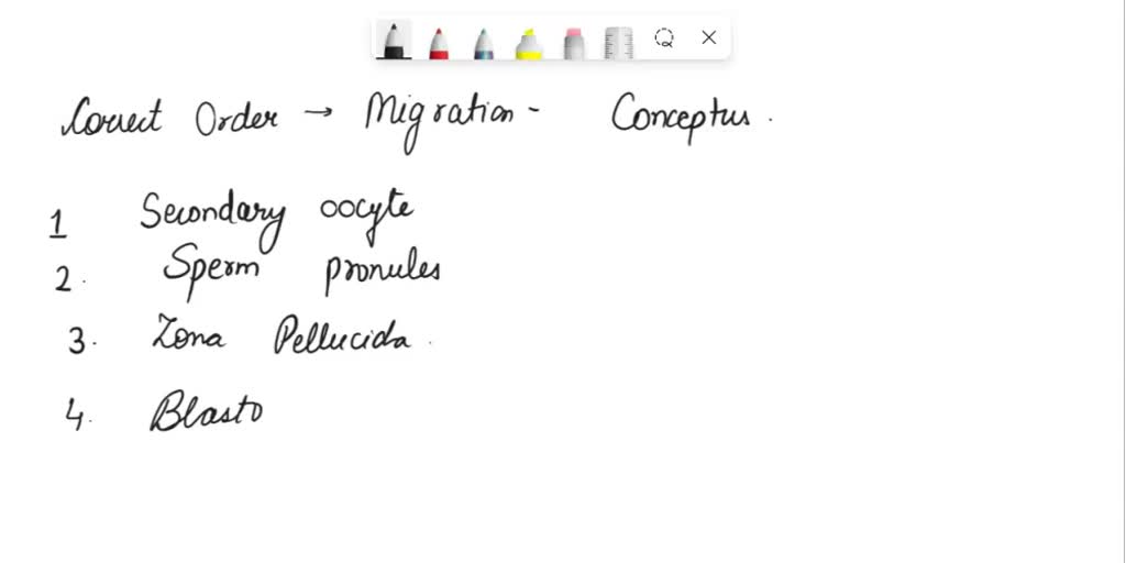 Place the following images into the correct order to represent the ...