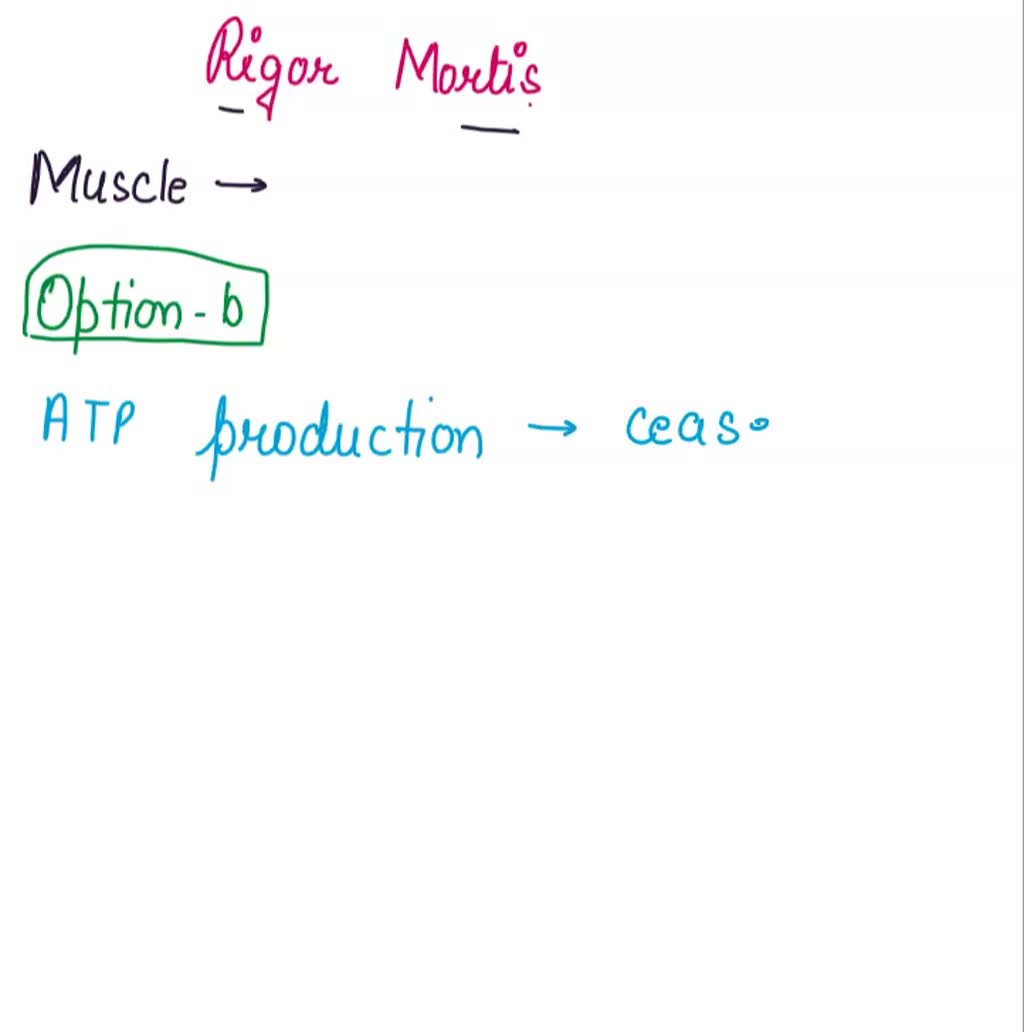 SOLVED: Rigor mortis is a muscle stiffening that sets in a few hours ...