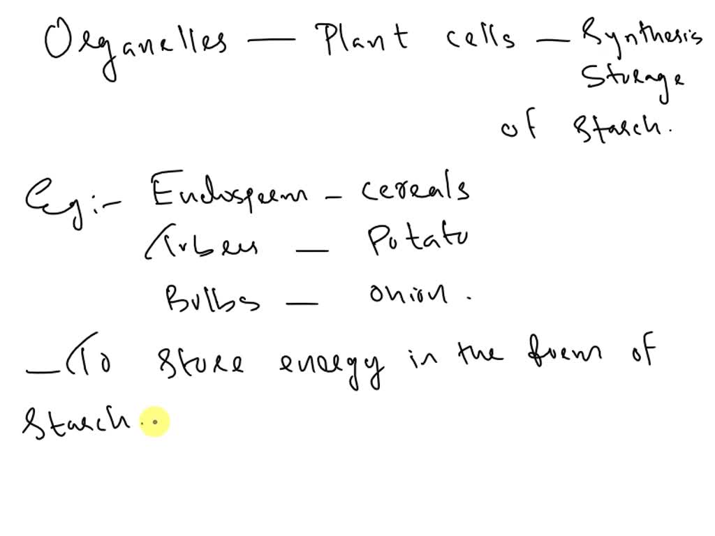 SOLVED: Observe the following images of Potato cells under the ...