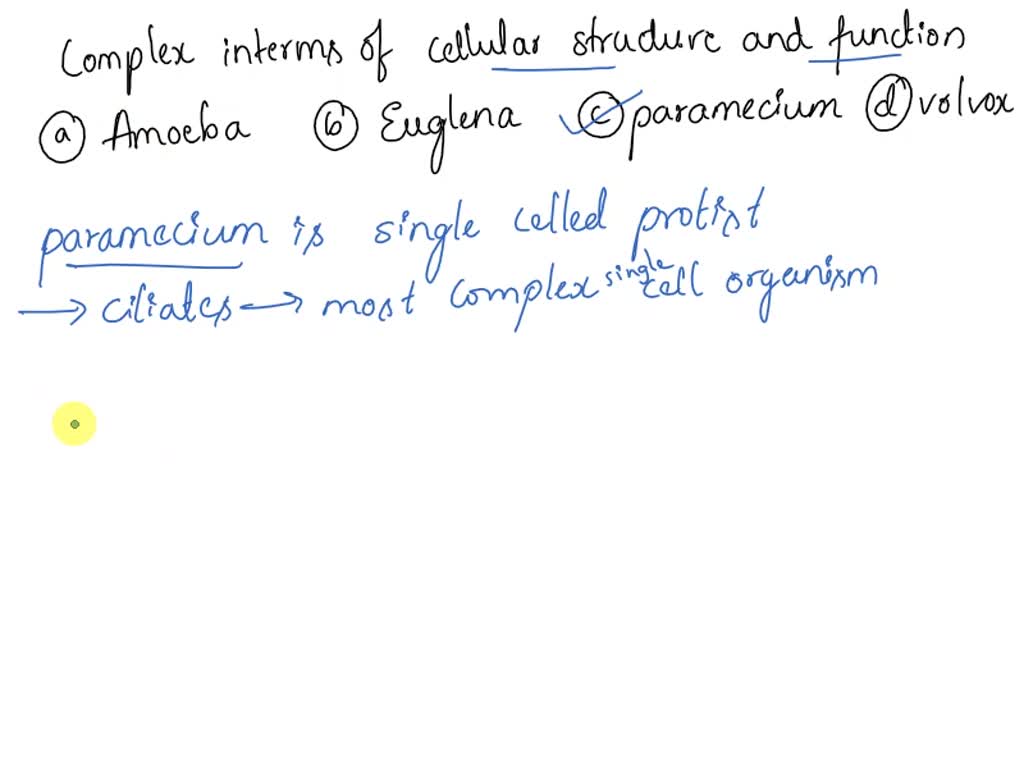 SOLVED: Which single-celled protist is the most complex in terms of its ...
