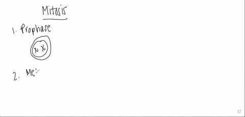 Identifying the Stages of the Cell Cycle and Mitosis: Draw a...