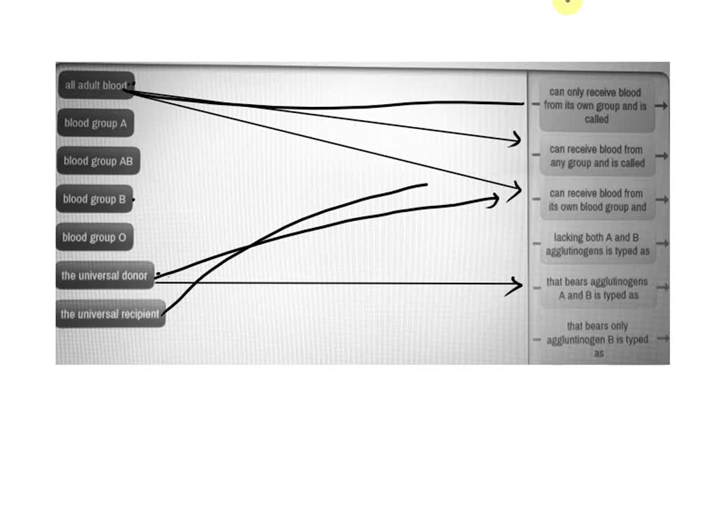 SOLVED: Blood Groups and Transfusions Create a concept map Blood Groups ...