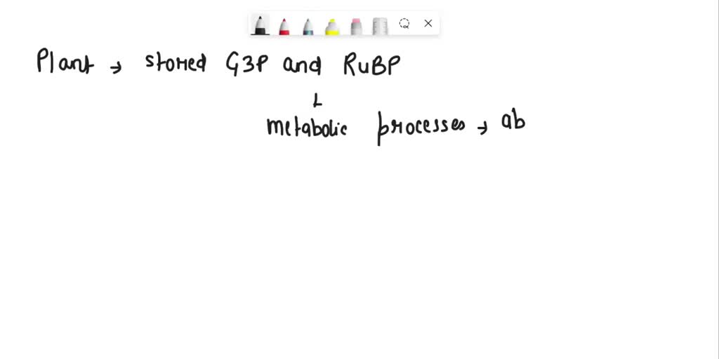 SOLVED: 4. For the graph G depicted in the following figure, write down ... SOLVED: 4. For the graph G depicted in the following figure, write down ...