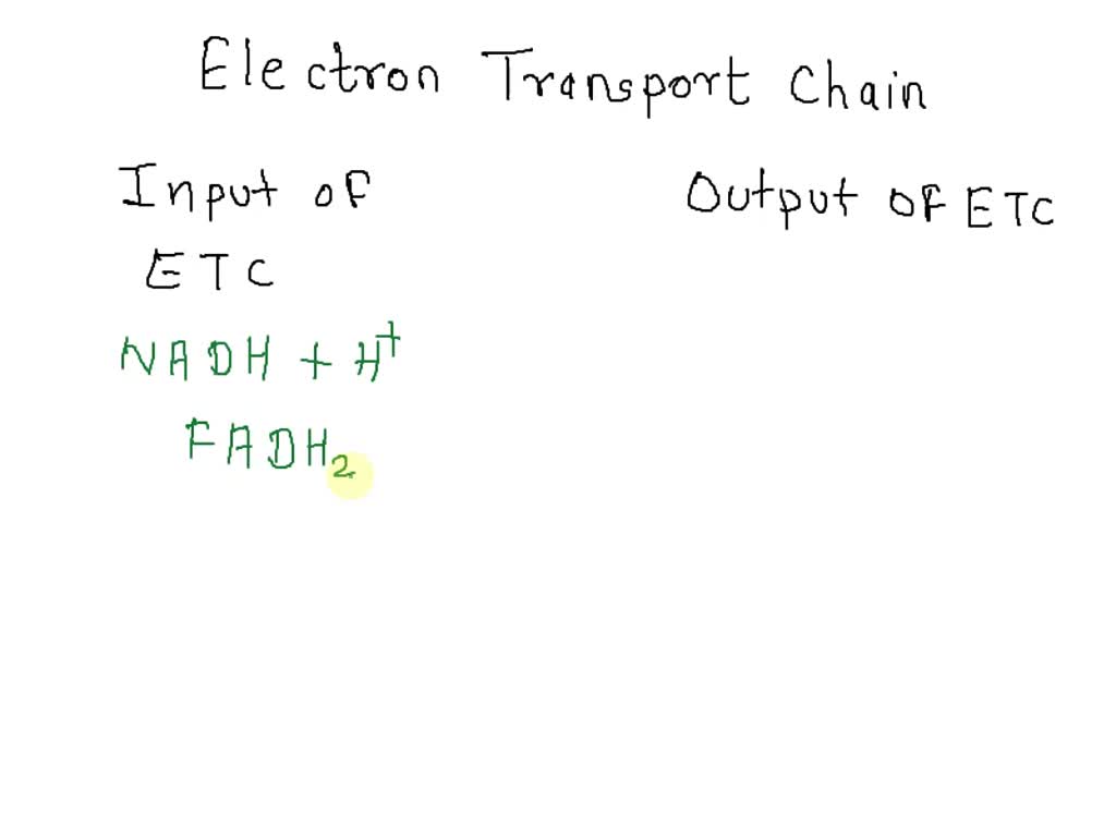 SOLVED: Classify the following according to whether they are inputs or outputs of the electron ...