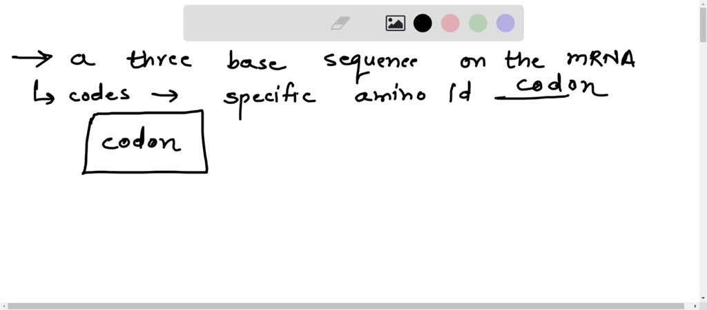 SOLVED: a three base sequence on the mRNA that codes for a specific amino id called