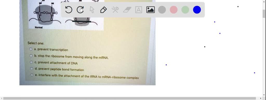 SOLVED: A bacterial ncRNA called OxyS regulates translation by binding ...