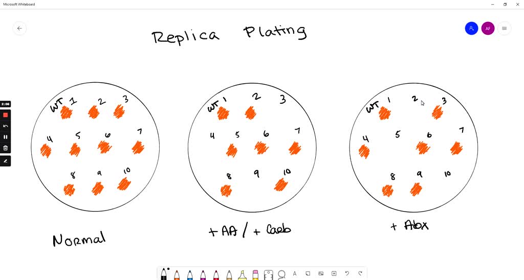 SOLVED: Explain replica plating and its combination of amino acid and ...