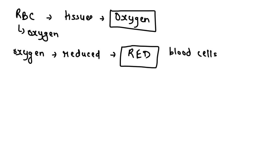 SOLVED: Complete the sentences describing the process of red blood cell ...