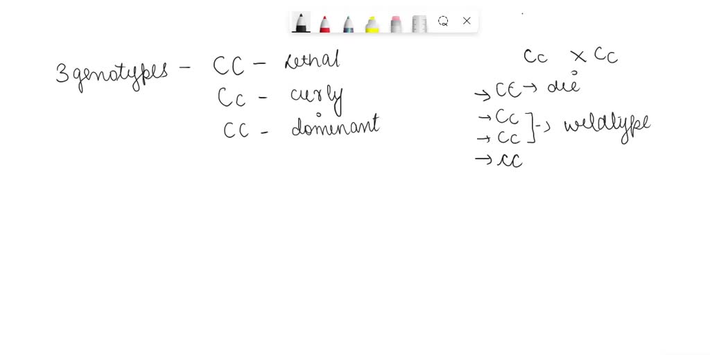 SOLVED: The Curly mutation in Drosophila is homozygous lethal and ...
