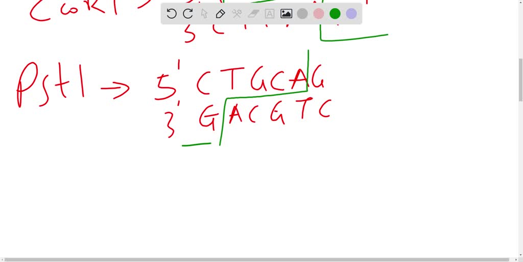 SOLVED: A plasmid molecule consists of 5’GAATTC3’ at 5 places. If that ... SOLVED: A plasmid molecule consists of 5’GAATTC3’ at 5 places. If that ...