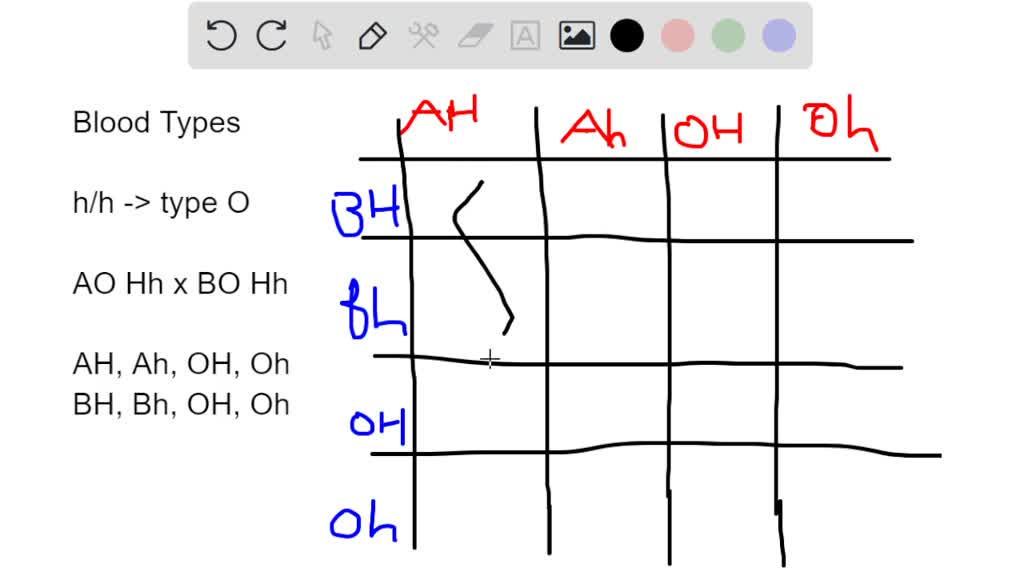 SOLVED: 1) In humans, the most important blood type ABO,which is ...